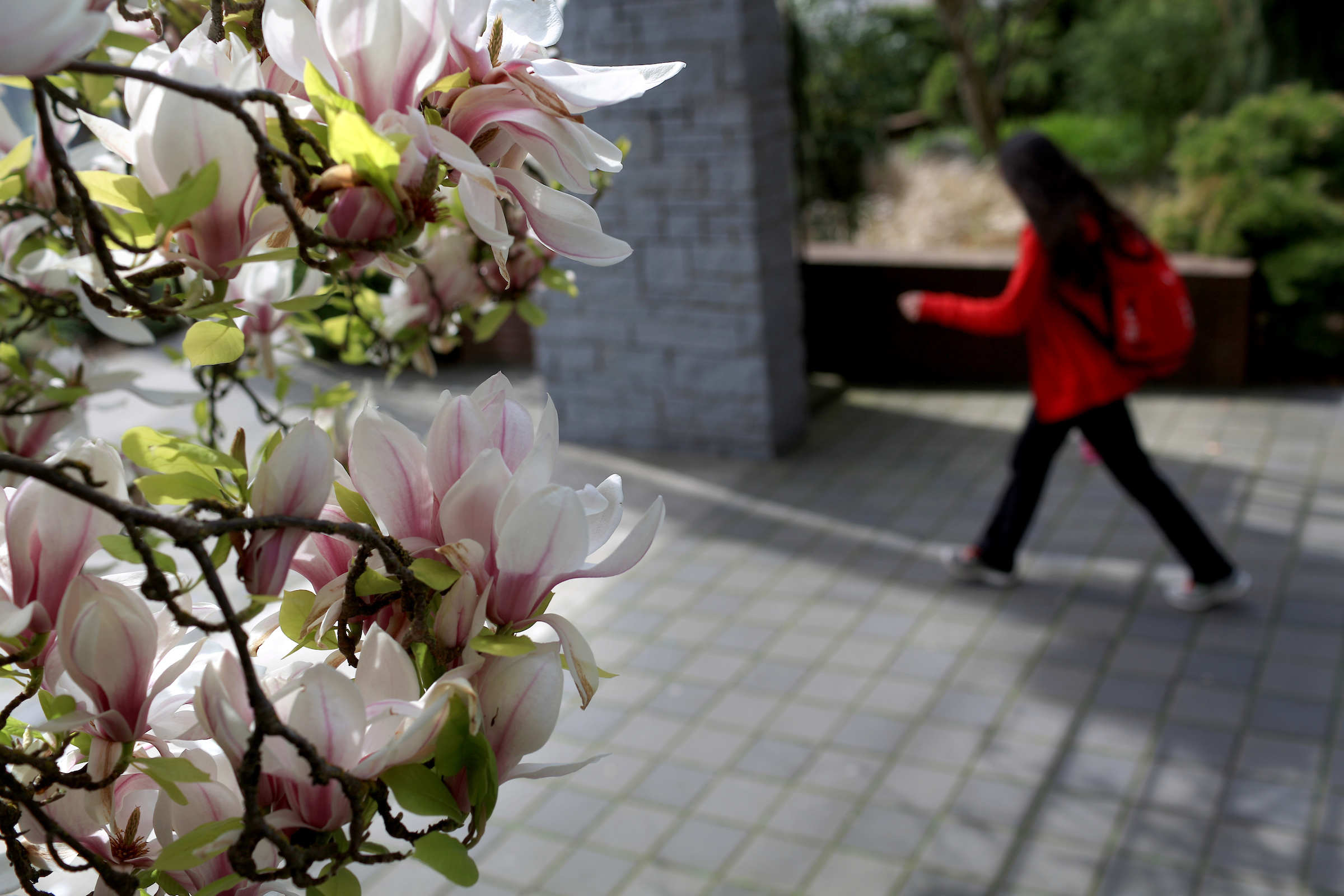 Deadlines | Graduate Admissions | Admissions & Aid | Seattle University