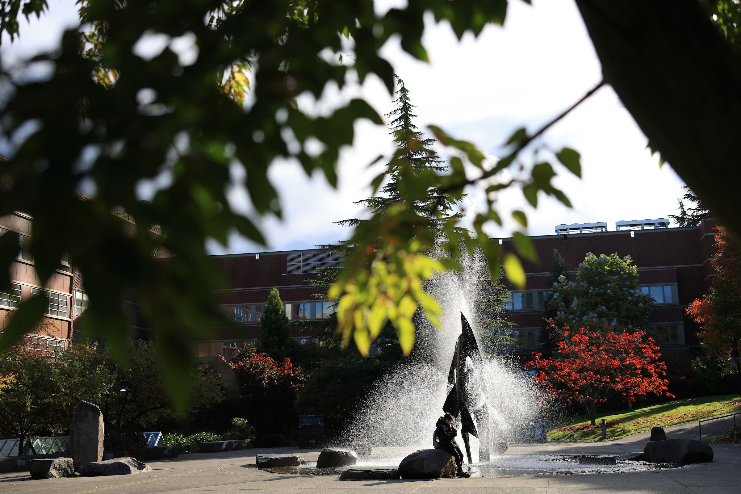 Accounting Faculty | Department of Accounting | Departments | Albers ...