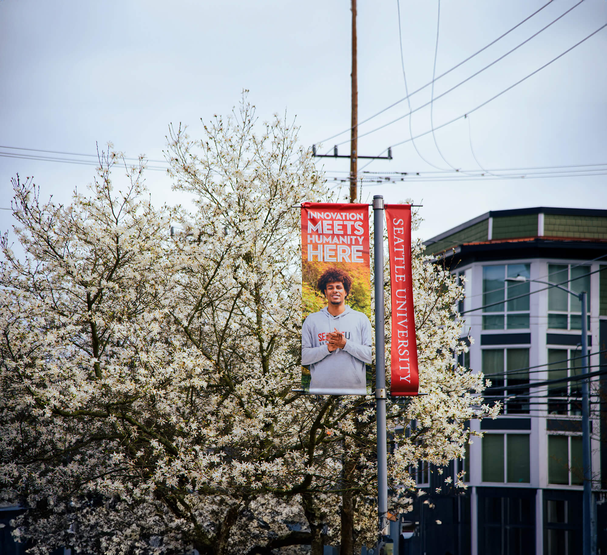 Business But Better: How Seattle U Leaders Are Paving The Way Forward ...