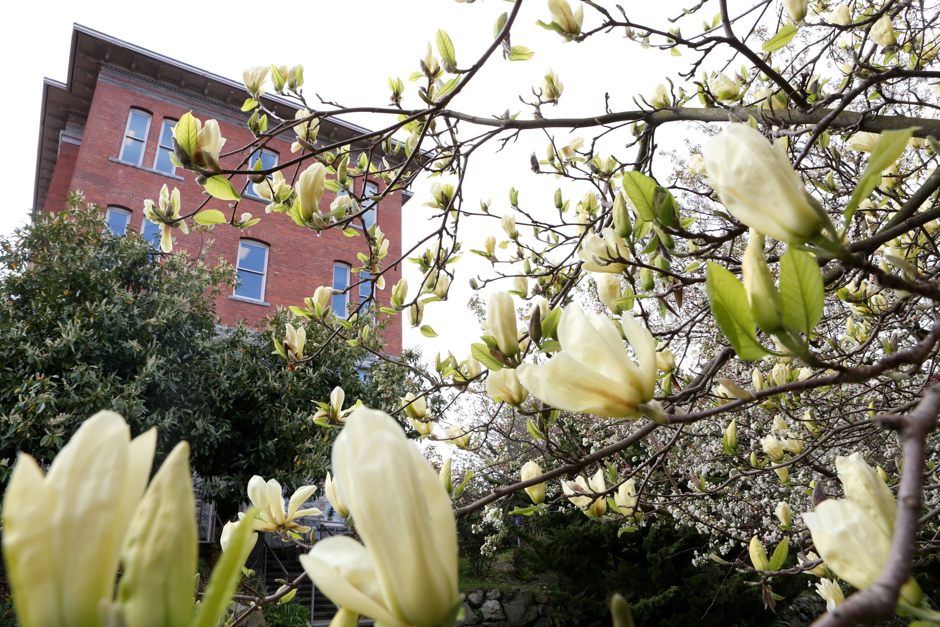 Office of the Dean | College of Nursing & Health Sciences | Seattle ...