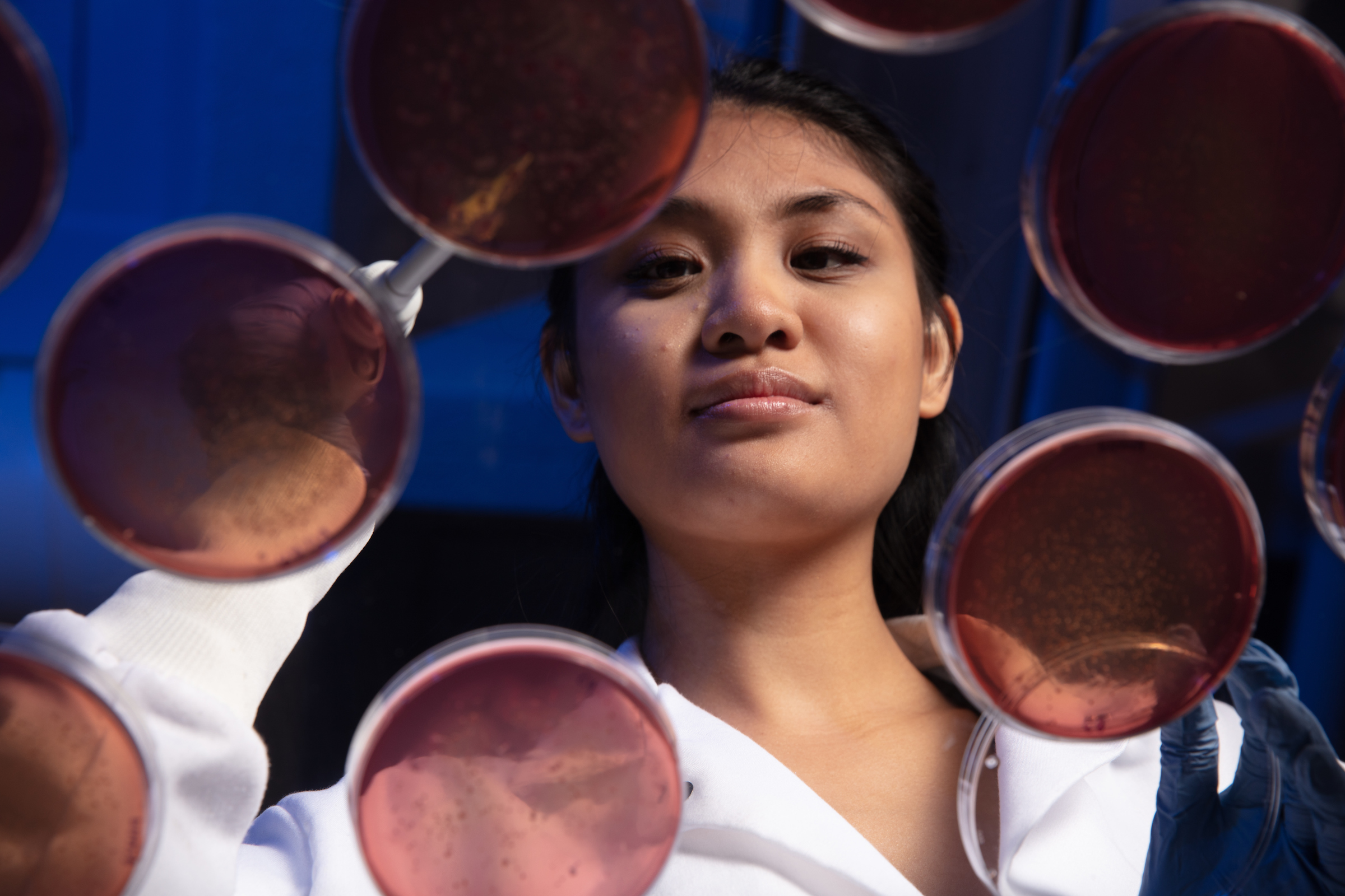 Department of Biology | Academic Departments | College of Science ...