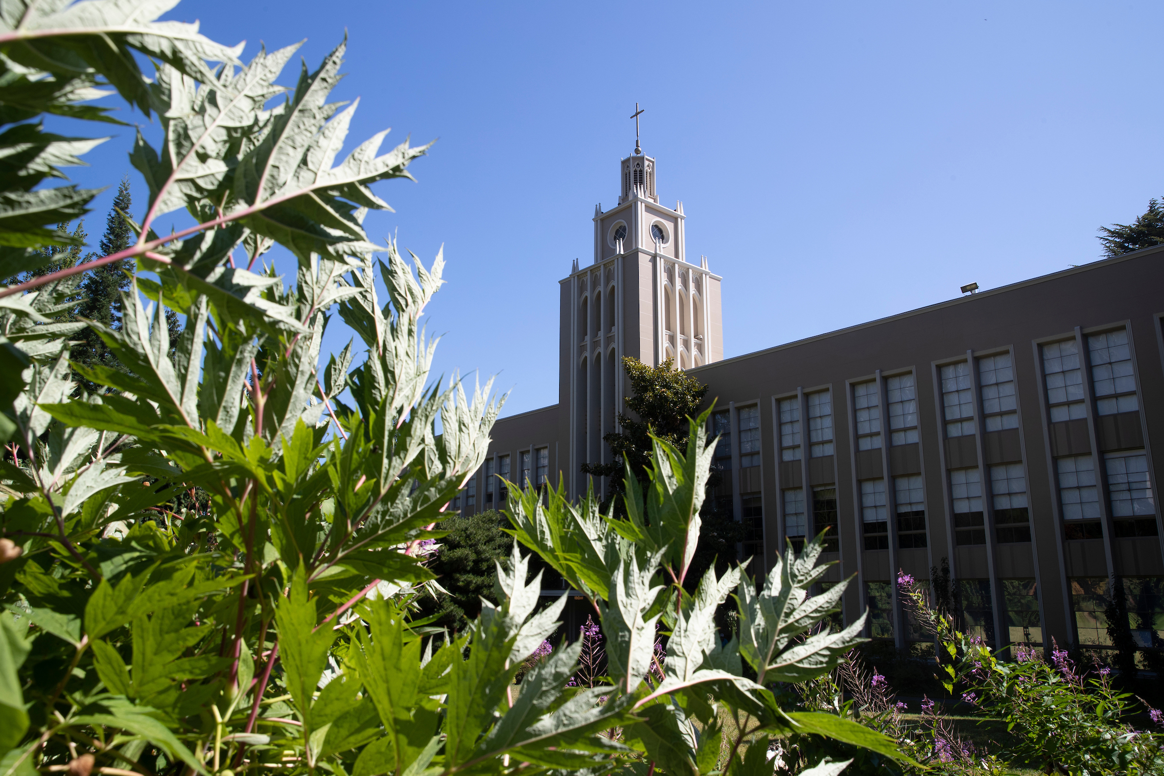 Office of Strategic Initiatives | Offices & Departments | Seattle ...